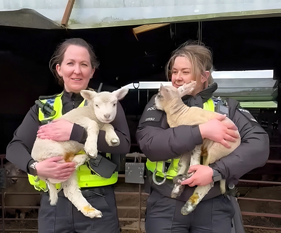 News Article - Dorset Police